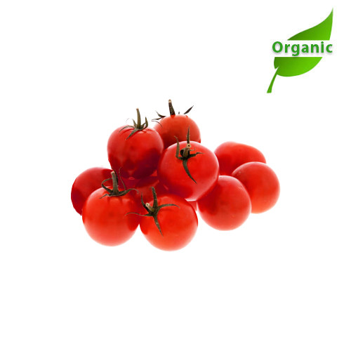 Organic Tomato Cherry Netherlands