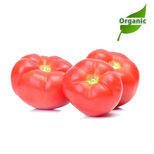 Organic Tomato Cherry Netherlands
